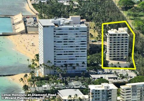 Lotus Honolulu at Diamond Head - Revealed Travel Guides