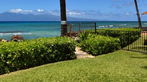 Hale Kai - Revealed Travel Guides