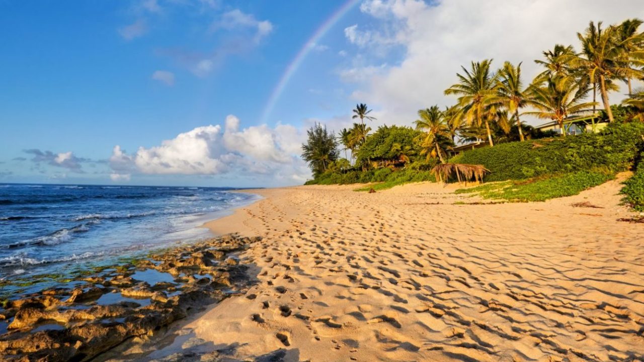 Coconut Waikiki Hotel - Revealed Travel Guides