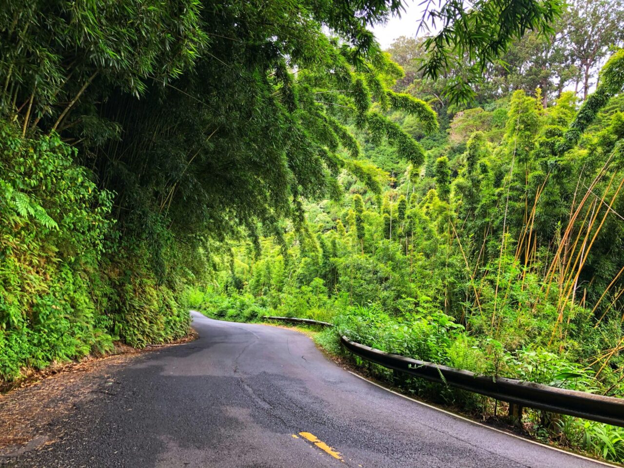 Hawaii for Introverts: Enjoy your Vacation Solo - Revealed Travel Guides