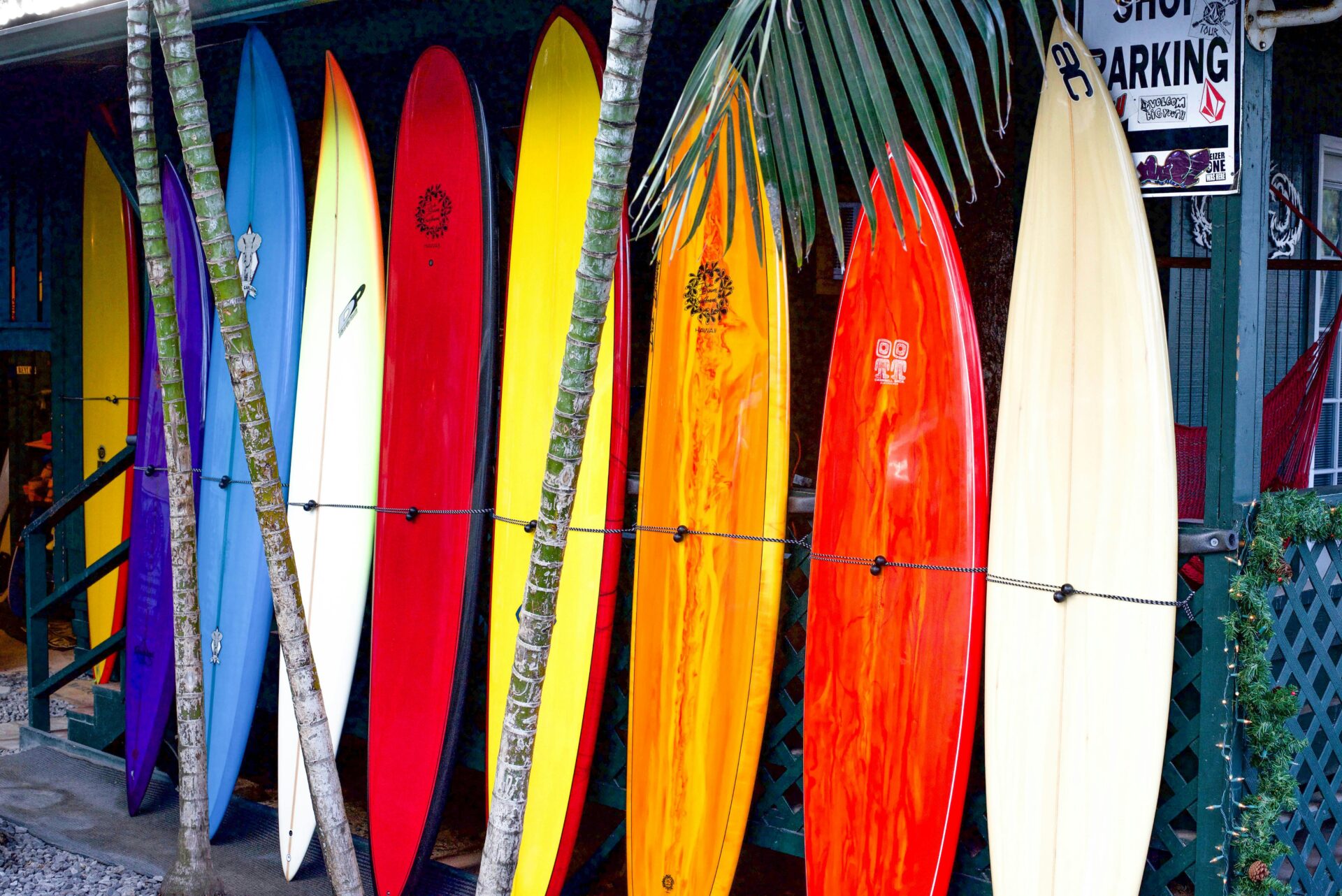 Surfing 102: Shapes of Boards and Fins and Why It Matters - Revealed ...